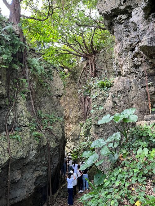 【中学3年生】SDGs探究旅行 沖縄コース（2日目）の様子をご紹介します！ | 跡見学園
